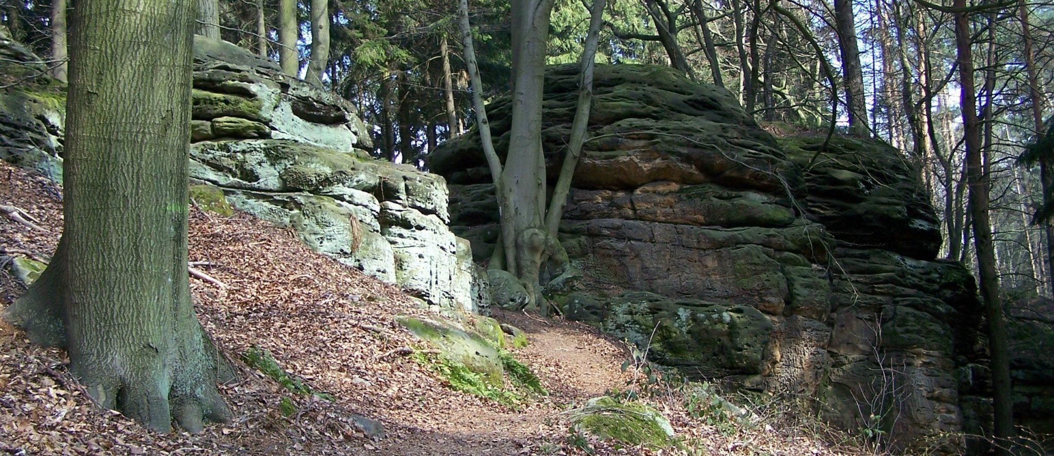 Bodensteiner Klippen – Geopark Harz – Braunschweiger Land – Ostfalen